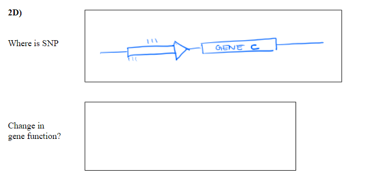 2B) Indicate in the diagram the region where a | Chegg.com