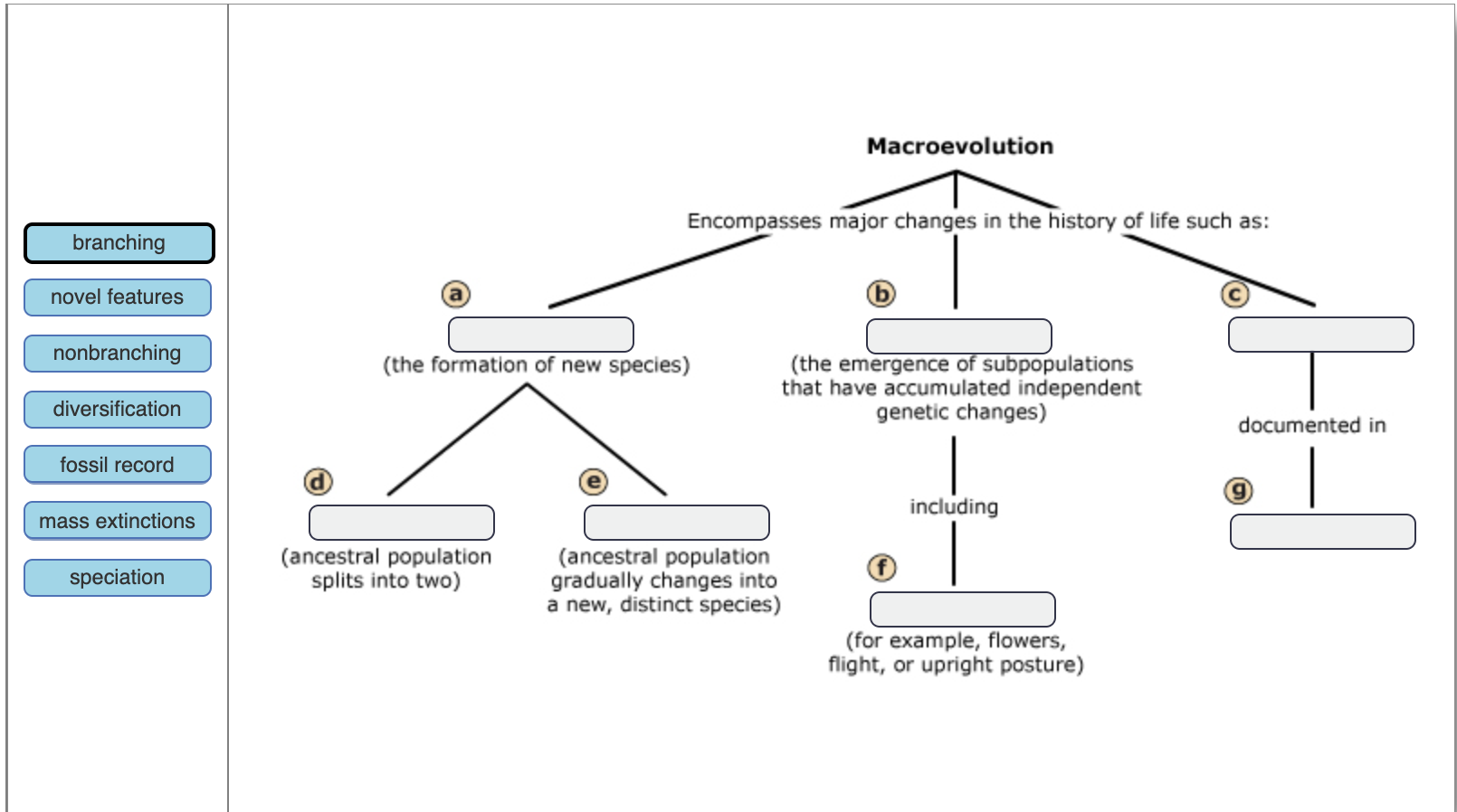 Solved Macroevolution Encompasses major changes in the | Chegg.com