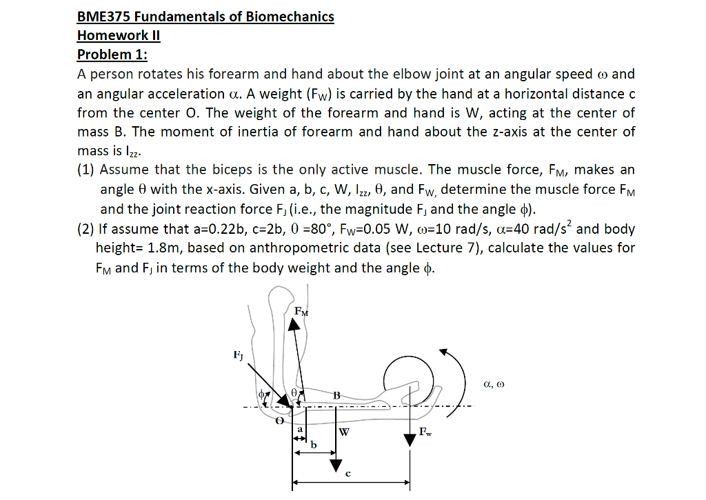 Solved BME375 Fundamentals of Biomechanics Problem1 A person | Chegg.com