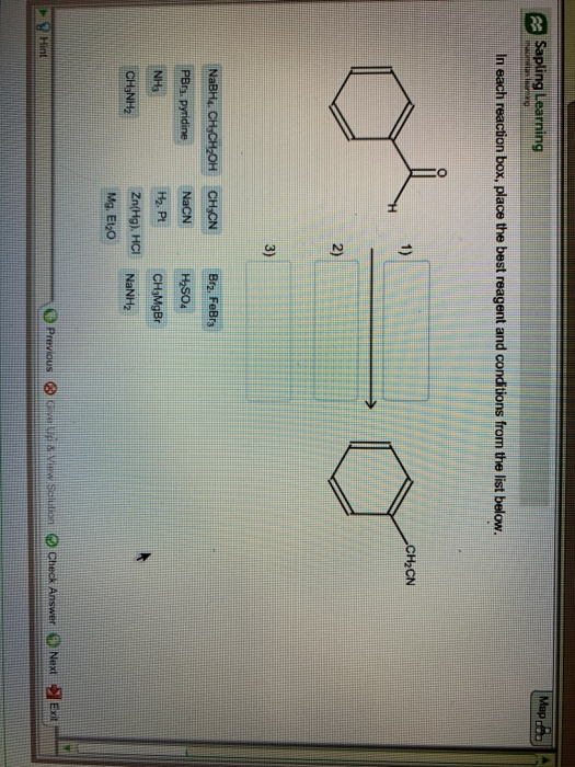 Solved ng Learning In each reaction box, place the best | Chegg.com