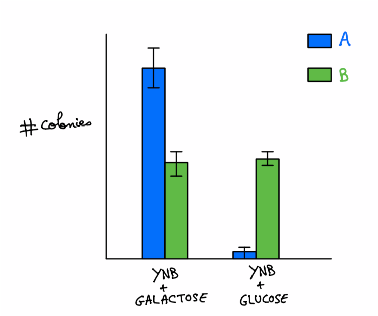 Solved Two CRISPR experiments (A and B) have been conducted | Chegg.com