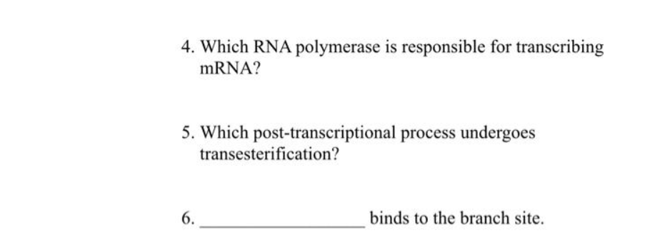 Solved 4. Which RNA polymerase is responsible for | Chegg.com