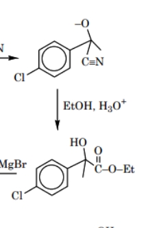 Solved EXPLAIN IN DETAIL | Chegg.com