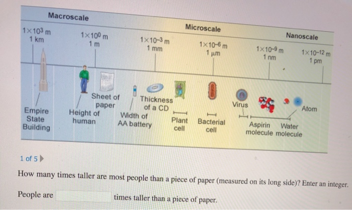 Solved Macroscale Microscale Nanoscale 1x103 m 1x100m 1 m | Chegg.com