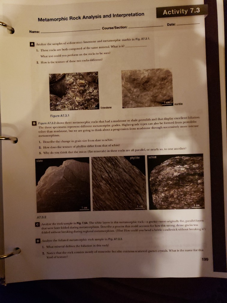 Solved Activity 7.3 Metamorphic Rock Analysis and | Chegg.com