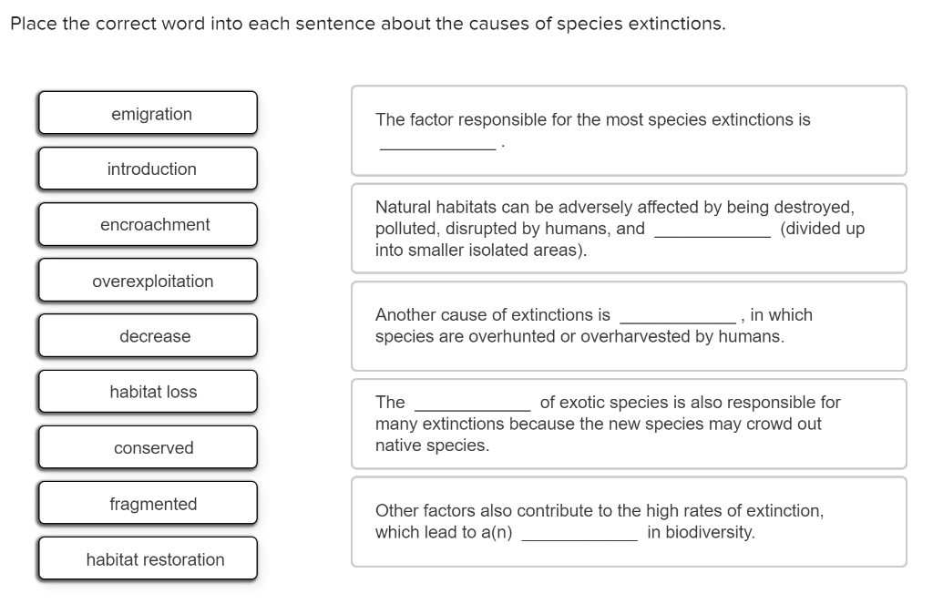 Solved Place the correct word into each sentence about the | Chegg.com