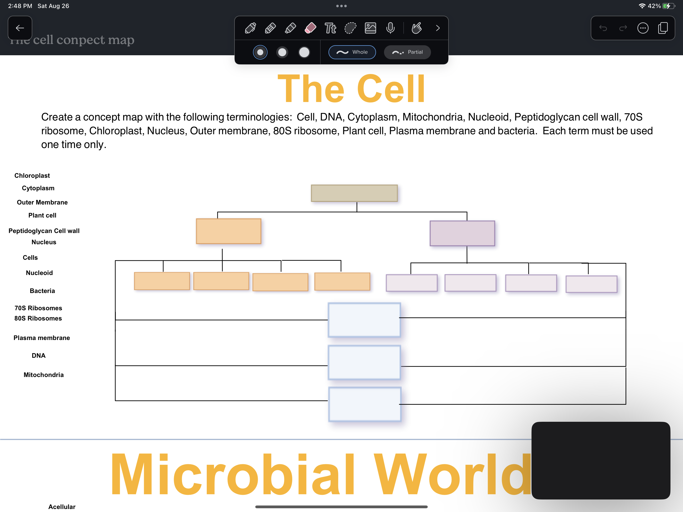 Solved Create a concept map with the following | Chegg.com
