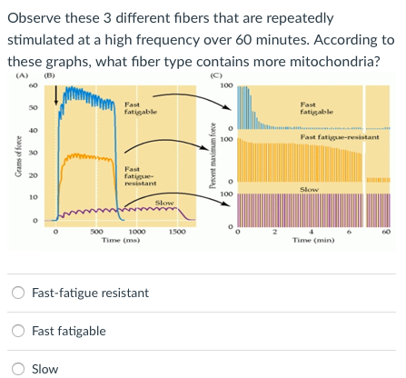Solved These are twitch graphs for 3 different single muscle | Chegg.com
