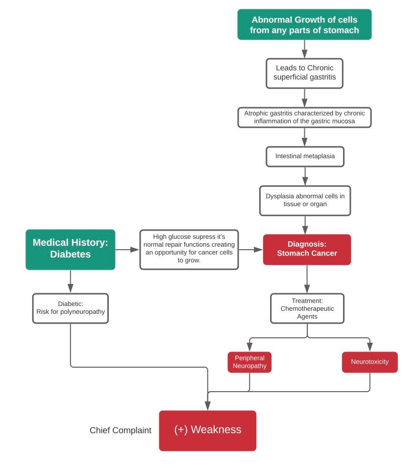 Solved 1.) Explain the above pathophysiology, how the | Chegg.com