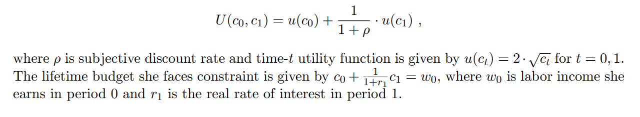 Solved Representative consumer's lifetime utility function | Chegg.com