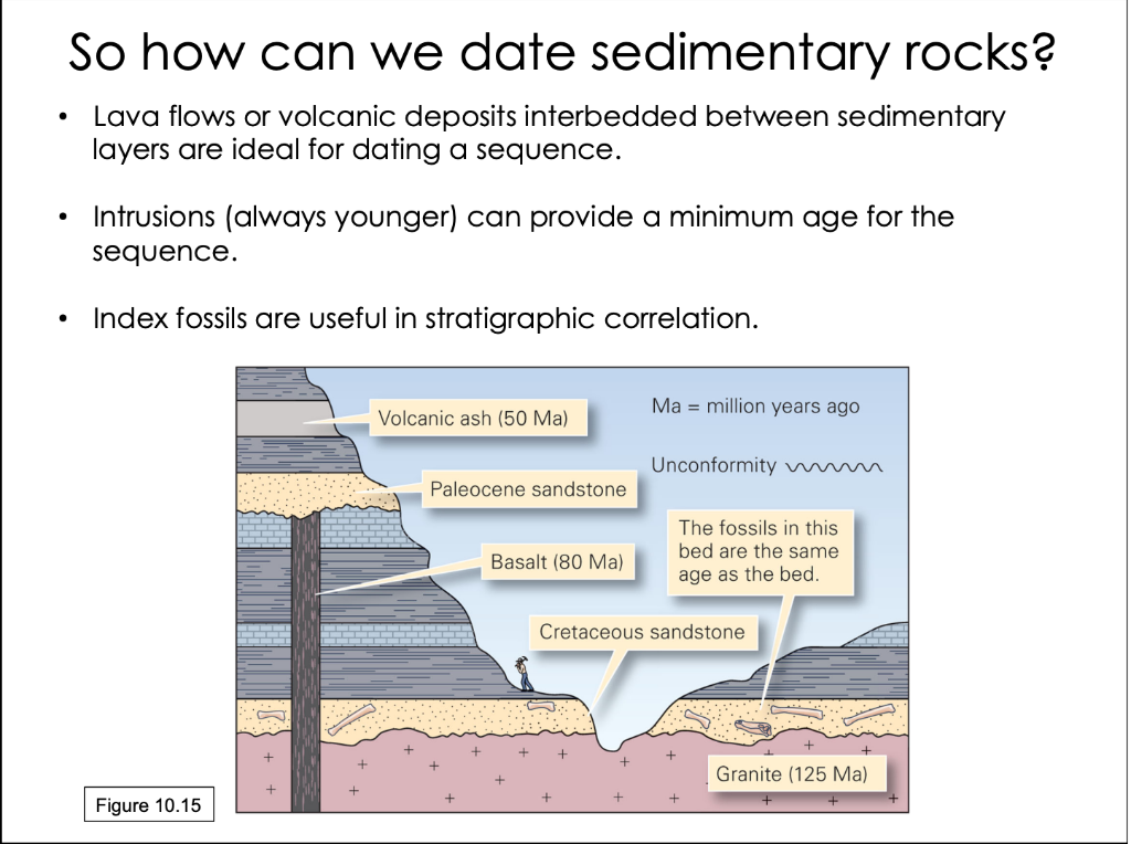 Solved See the lecture slide titled ‘So how can we date | Chegg.com