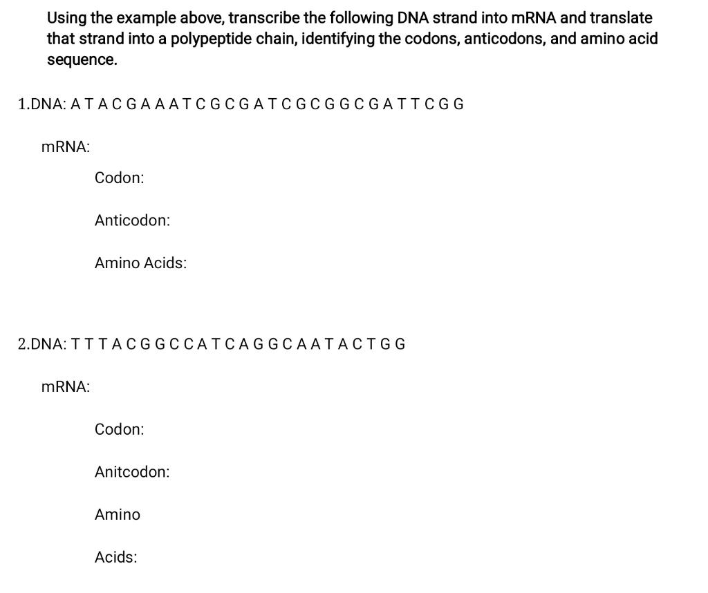 Solved 3.DNA: T A C G G G C C TA TA C G C T A C T A C T CA T | Chegg.com
