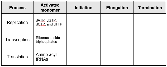 Solved Consider the key stages of replication, | Chegg.com