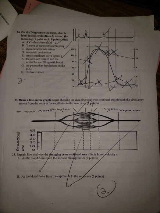 Solved 26. On the Diagram to the right, clearly label (using | Chegg.com