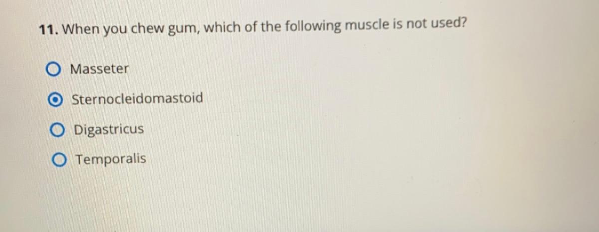 Solved 11. When you chew gum, which of the following muscle | Chegg.com