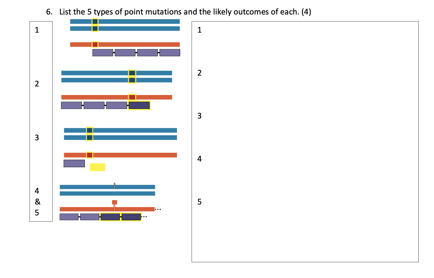 Solved 6. List the 5 types of point mutations and the likely | Chegg.com