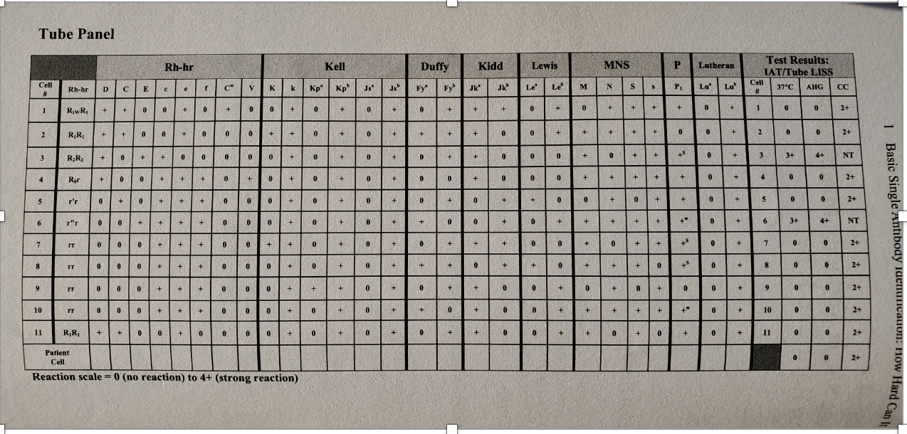 Analyze the patient’s results with the Panocell | Chegg.com