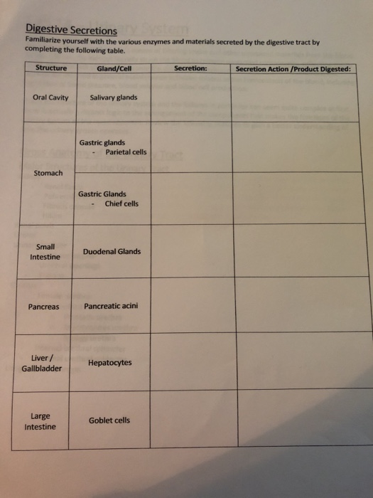 Solved Digestive Secretions Familiarize yourself with the | Chegg.com