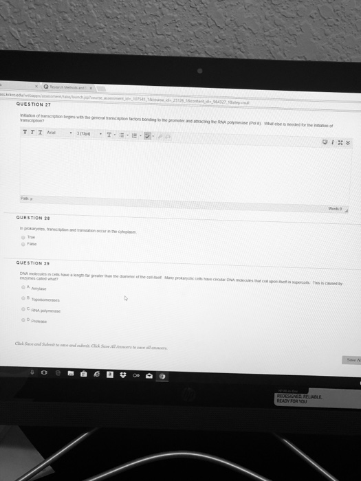Solved Please can you answer all my questions | Chegg.com