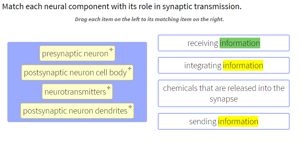 Solved Match each neural component with its role in synaptic | Chegg.com