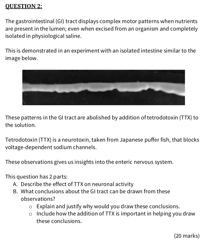 Solved QUESTION 2: The gastrointestinal (GI) tract displays | Chegg.com