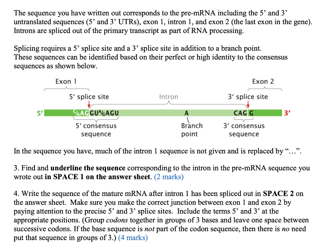 Solved 1. Based on what you know about the genetic code, | Chegg.com