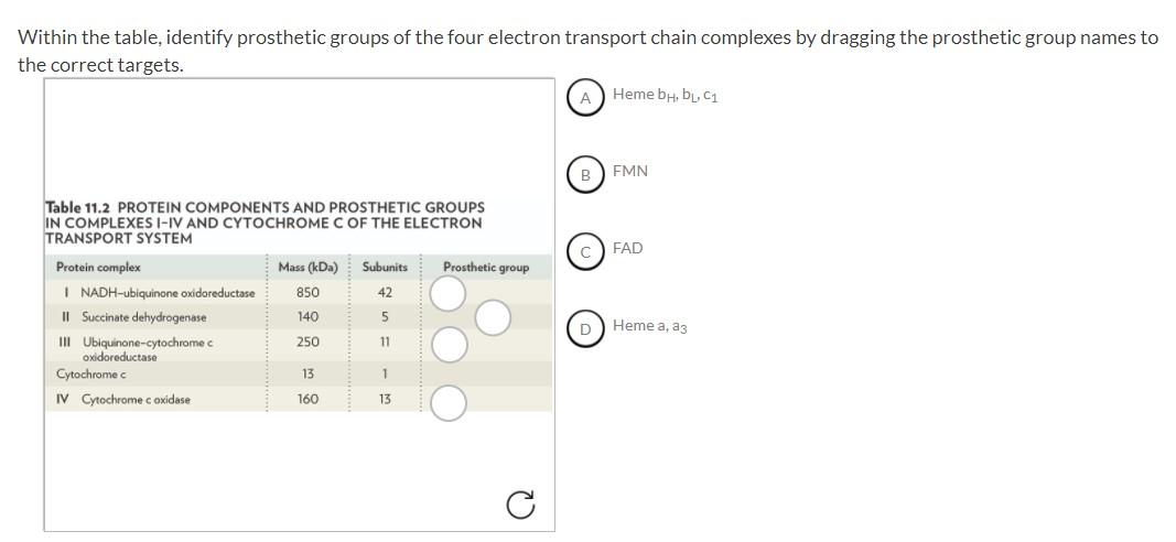 Solved Within the table, identify prosthetic groups of the | Chegg.com