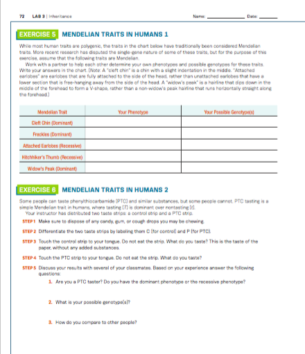 Solved 2 LAB 3 herin EXERCISES MENDELIAN TRAITS IN HUMANS | Chegg.com