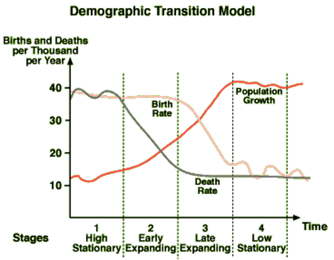 Solved Demographic Transition Model Births and Deaths per | Chegg.com