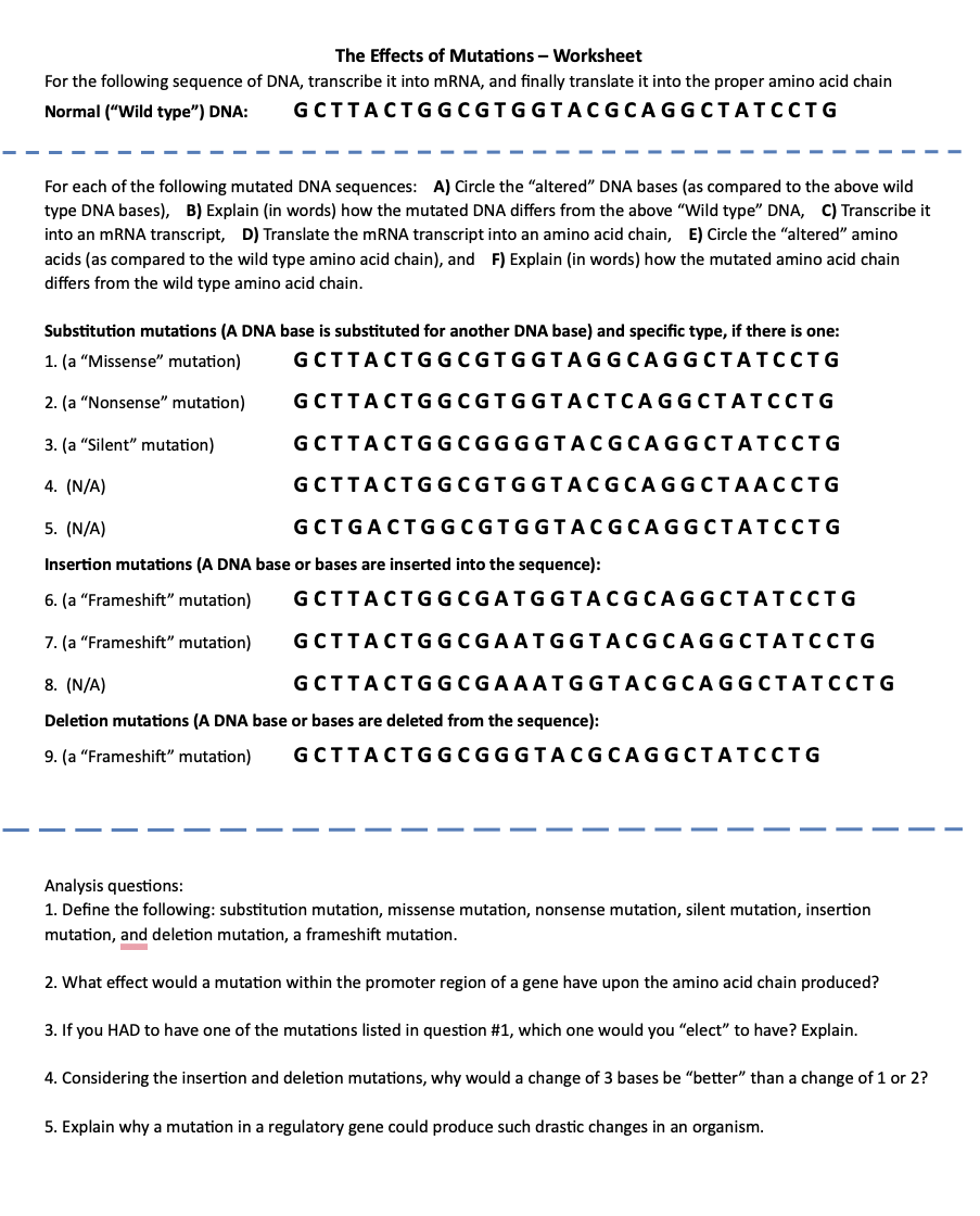 Solved The Effects of Mutations - ﻿WorksheetFor the | Chegg.com