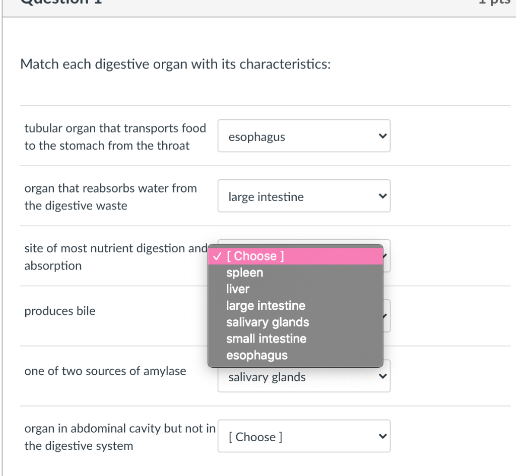 Solved Match each digestive organ with its characteristics: | Chegg.com