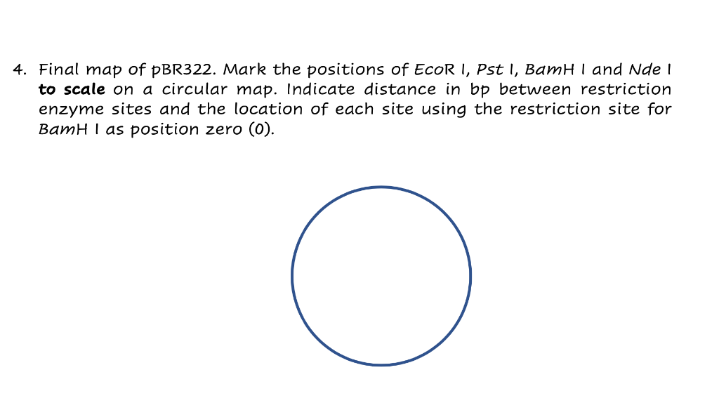 Solved The following restriction enzymes, BamH I and Nde I | Chegg.com