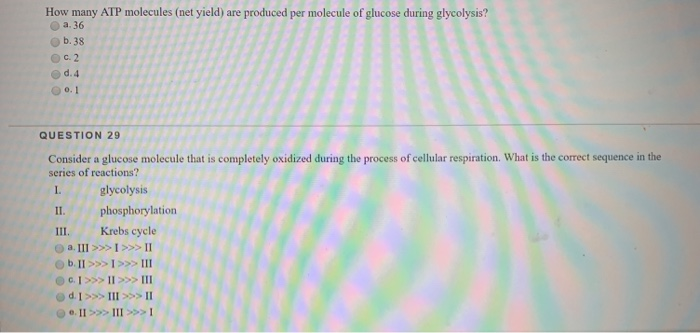 Solved How many ATP molecules (net yield) are produced per | Chegg.com