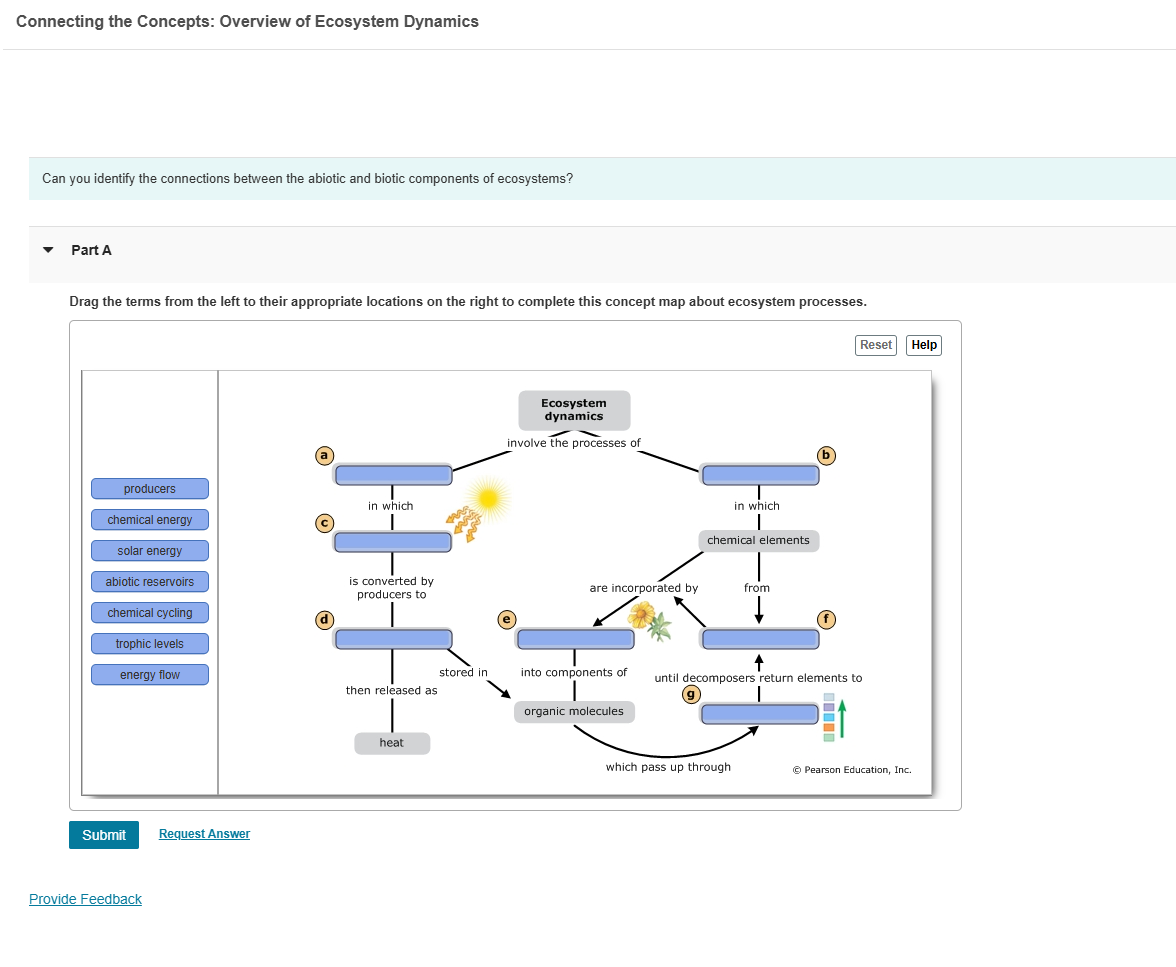 Solved Connecting the Concepts: Overview of Ecosystem | Chegg.com