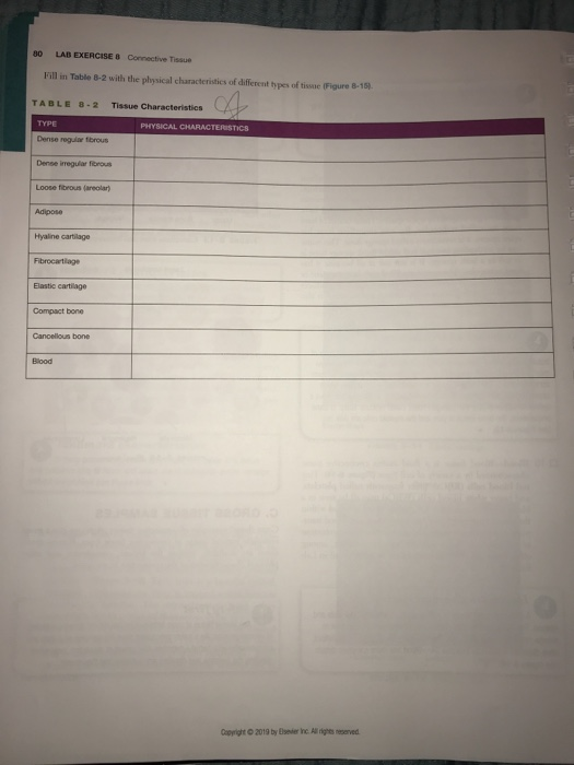 Solved 80 LAB EXERCISE 8 Connective Tissue Fill in Table 8-2 | Chegg.com