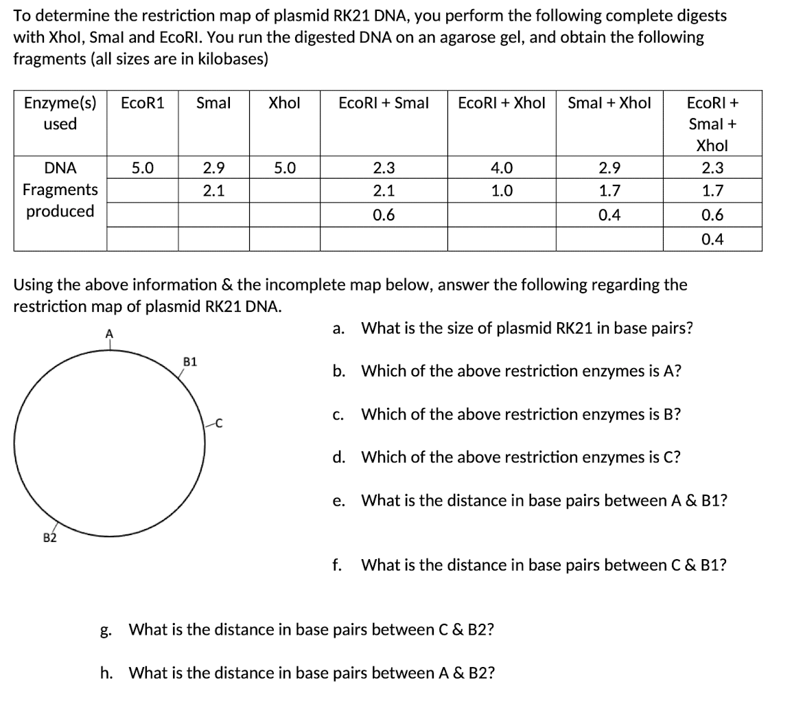 Solved To determine the restriction map of plasmid RK21 DNA, | Chegg.com
