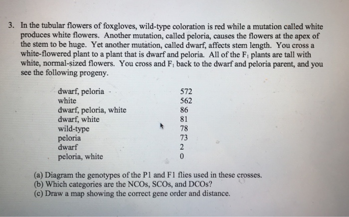 Solved 3. In the tubular flowers of foxgloves, wild-type | Chegg.com