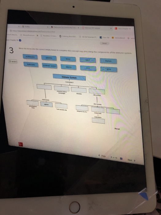 move the terms into the correct empty boxes to | Chegg.com