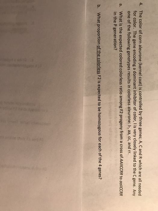 Solved The color of corn aleurone (kernel coat) is | Chegg.com