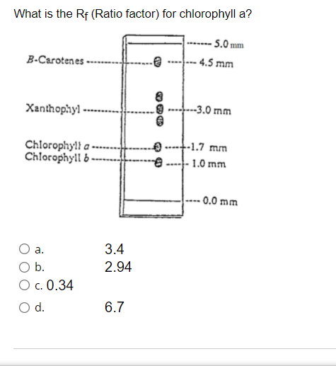Solved What is the Rf (Ratio factor) for chlorophyll a? | Chegg.com