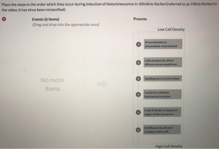 Solved Place the steps in the order which they occur during | Chegg.com