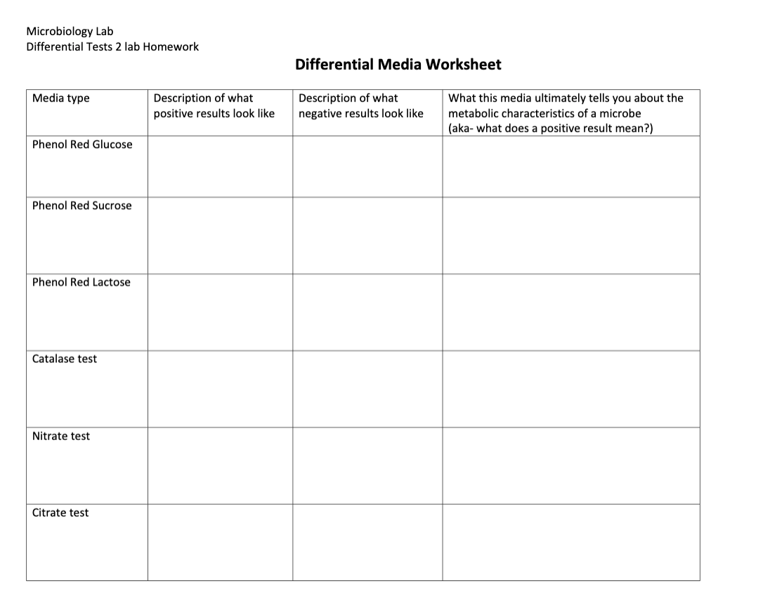 Solved Microbiology Lab Differential Tests 2 lab Homework | Chegg.com