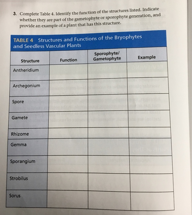 Solved Complete Table 4. Identify the function of the | Chegg.com