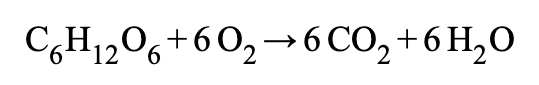 Solved The human body burns glucose (C6H12O6) for energy | Chegg.com