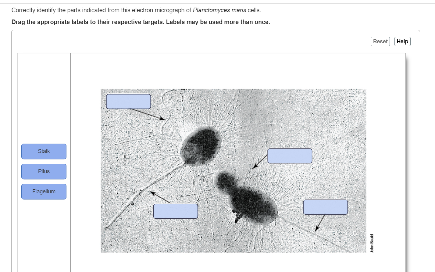Solved Correctly identify the parts indicated from this | Chegg.com