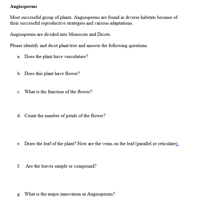 Solved Angiosperms Most successful group of plants. | Chegg.com