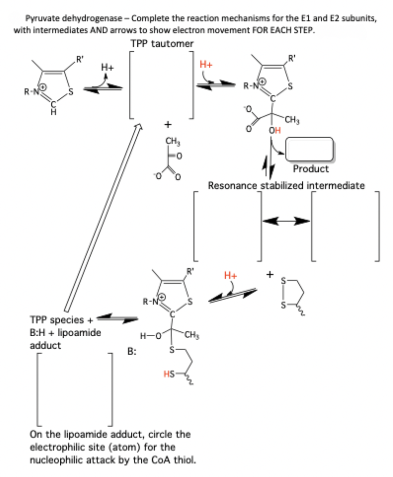 Pyruvate dehydrogenase - ﻿Complete the reaction | Chegg.com