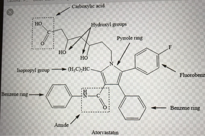 Solved In Regards to the drug atorvastatin, explain which | Chegg.com