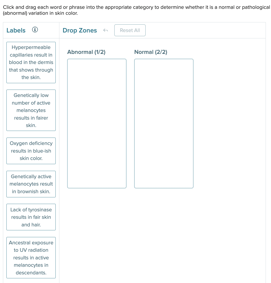 Solved Click and drag each word or phrase into the | Chegg.com