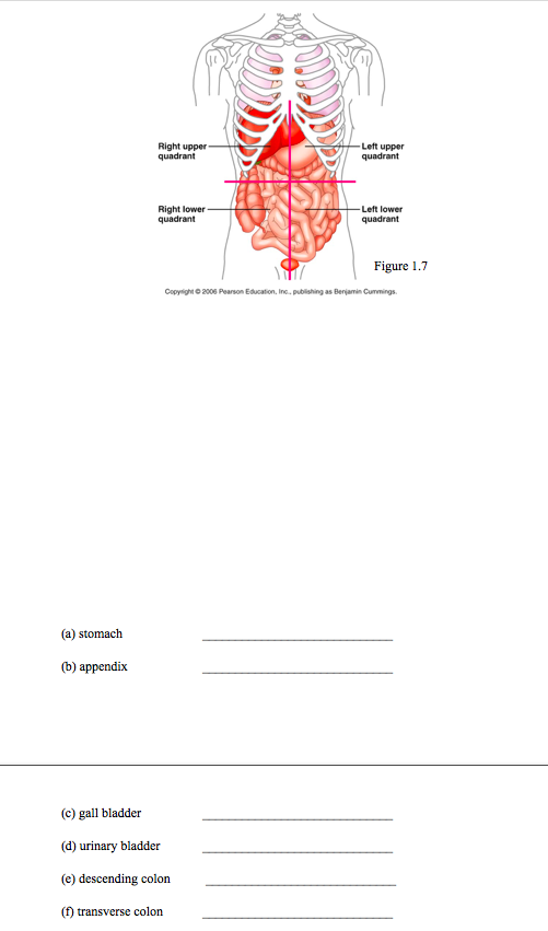 PART 1 - LOCATING & DESCRIBING MAJOR ORGANS & THEIR | Chegg.com